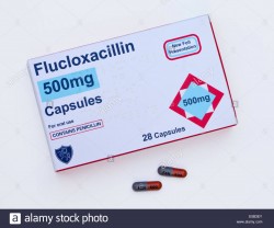 FLUXAMOX CAPS 500MG (SINGLE)