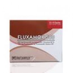 FLUXAMOX CAPS 500MG (SINGLE)